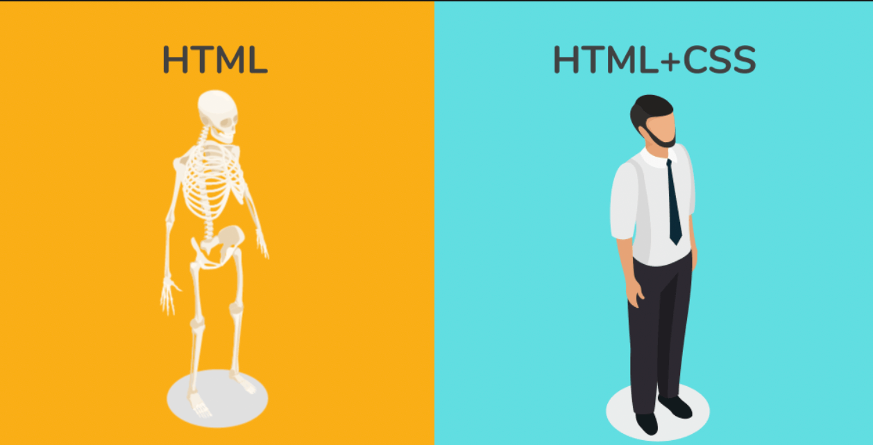 HTML va CSS orqali web sayt yaratish uchun tavsiyalar - SEOCHI